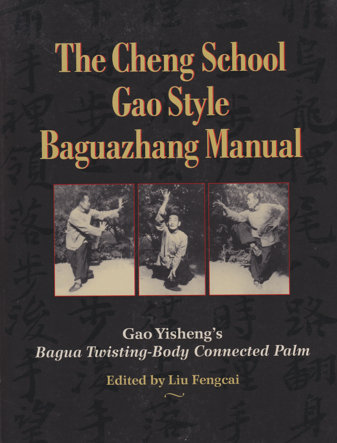 The Cheng School Gao Style Baguazhang Manual: Gao Yisheng's Bagua Twis ...