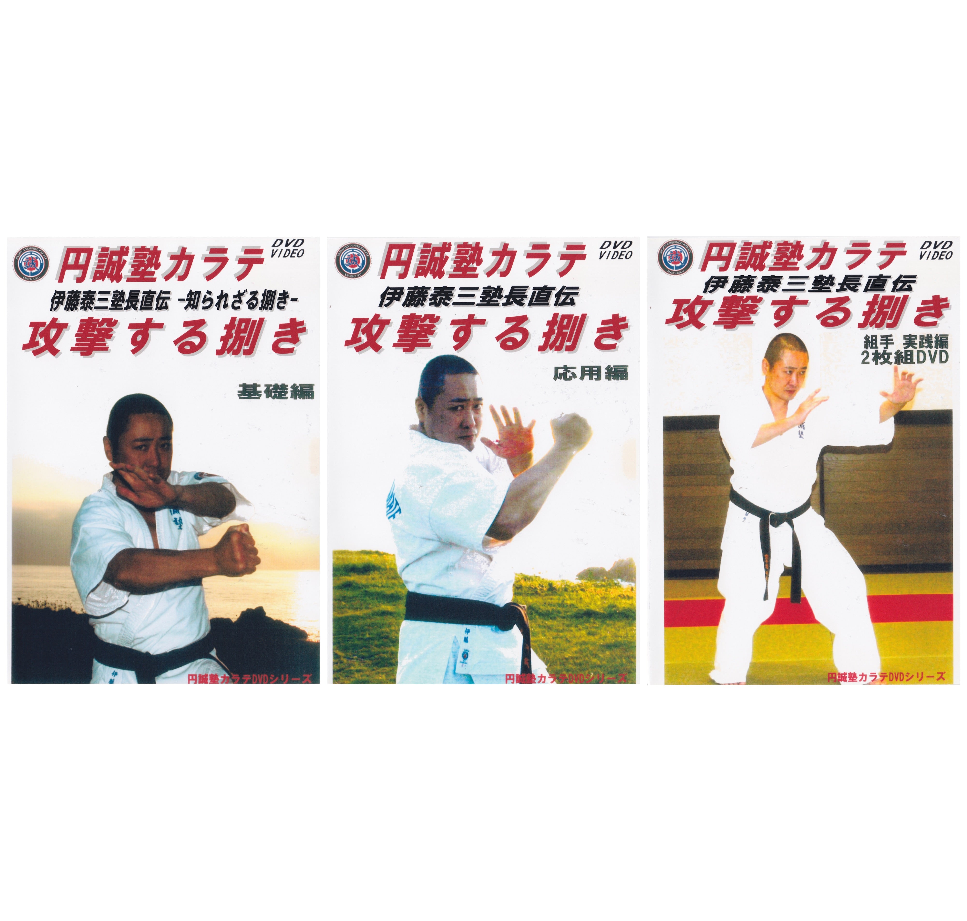 Ensei Juku Karate Attacking Sabaki 4 DVD Set by Taizo Ito (Preowned) – Budovideos Inc