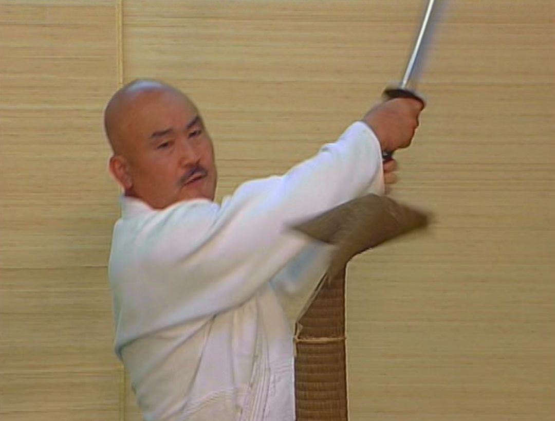 Budo Ashisabaki (Footwork) DVD with Toshishiro Obata – Budovideos Inc