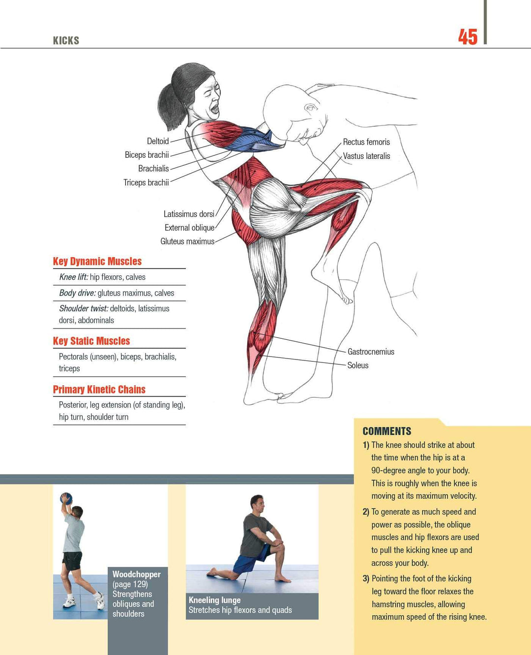 The Anatomy of Martial Arts: An Illustrated Guide to the Muscles Used ...