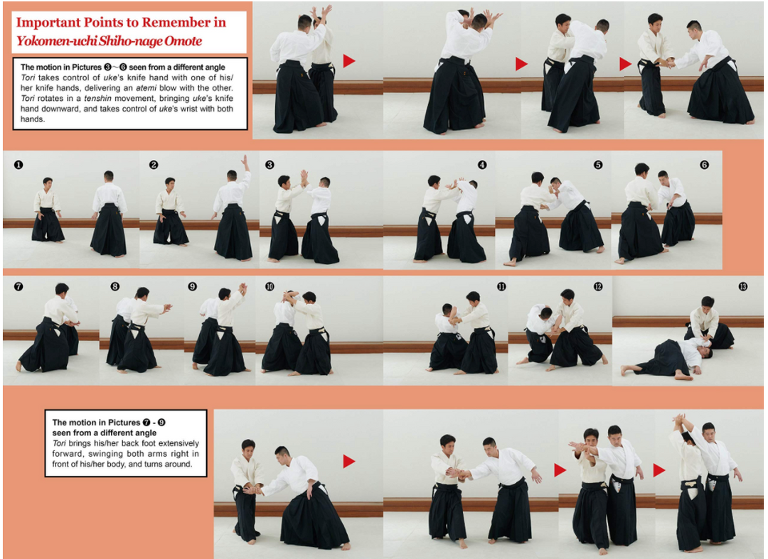 An Introduction to Aikido Mastering the Basics Through Proper Training ...