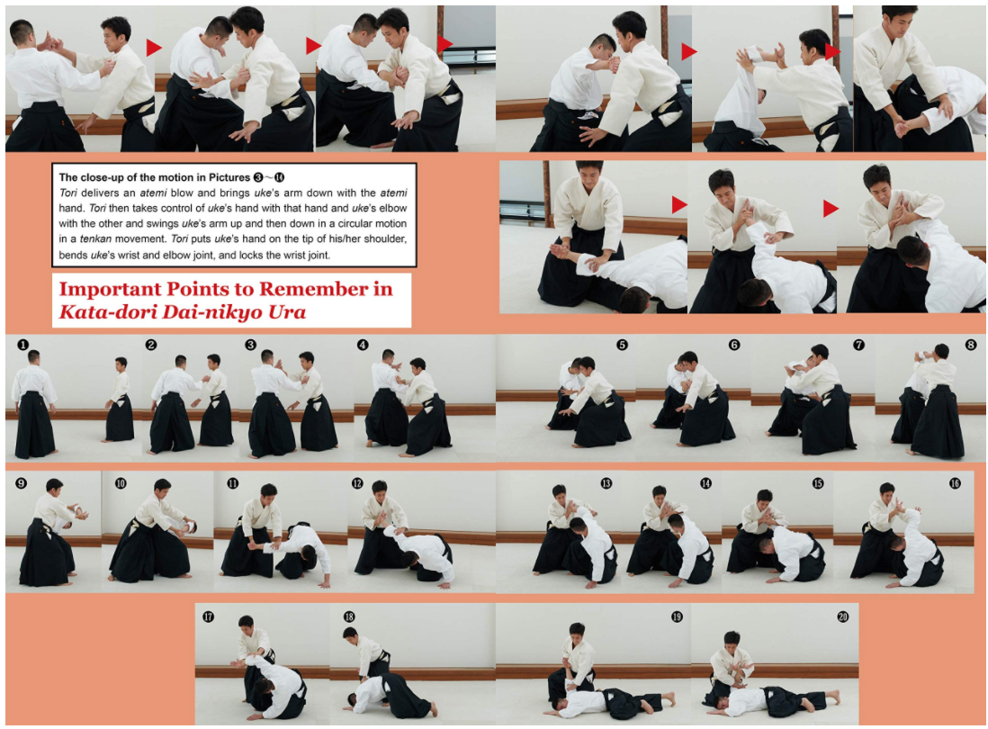 An Introduction to Aikido Mastering the Basics Through Proper Training ...