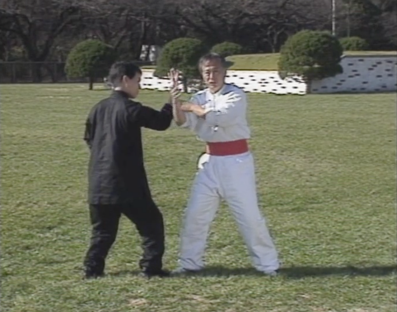Kung Fu Baguazhang 3 DVD Set by Adam Hsu (Preowned) – Budovideos Inc