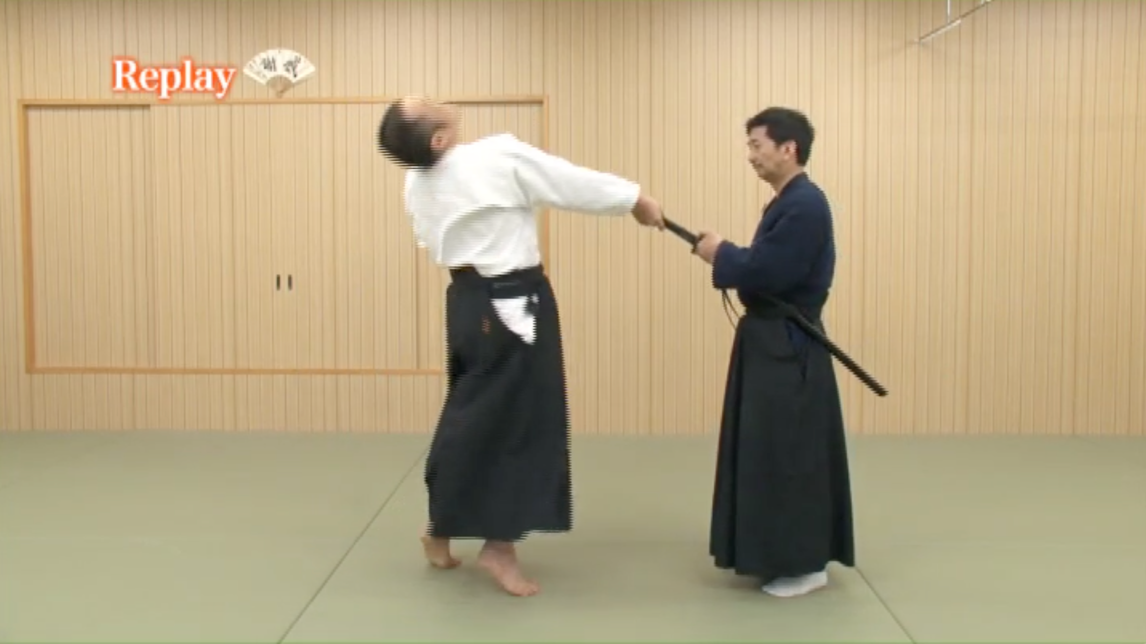 Daito Ryu Aikijujutsu Iaishinken Ryu Aiki No Iai DVD with Shudai Makit ...