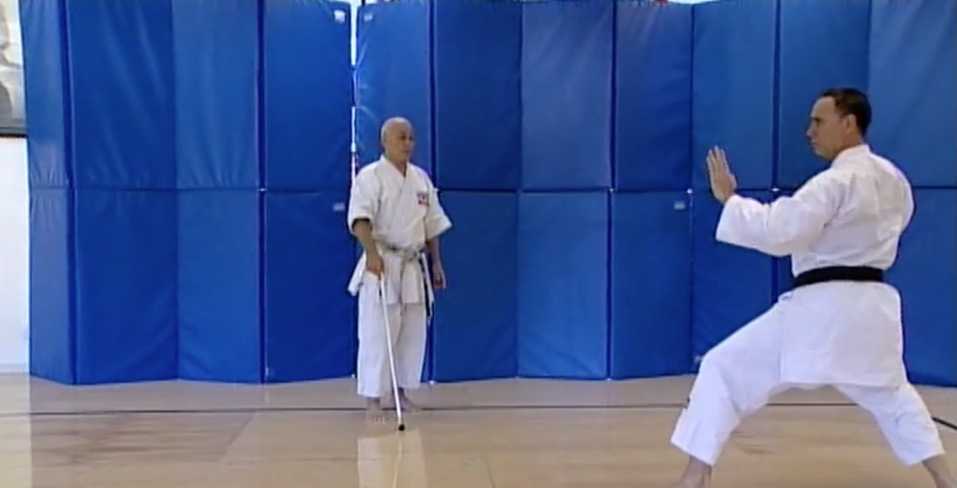 Kubota Kata Series Go Soku Ryu & Traditional Kata 4 DVD Set by Tak Kub ...