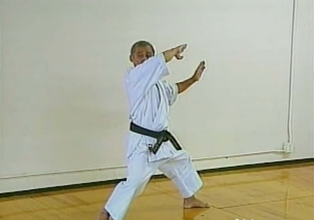 Kubota Kata Series Go Soku Ryu & Traditional Kata 4 DVD Set by Tak Kub ...