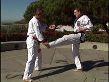 Complete Okinawa Isshin Ryu Karate System 4 DVD Set by Kim Murray ...